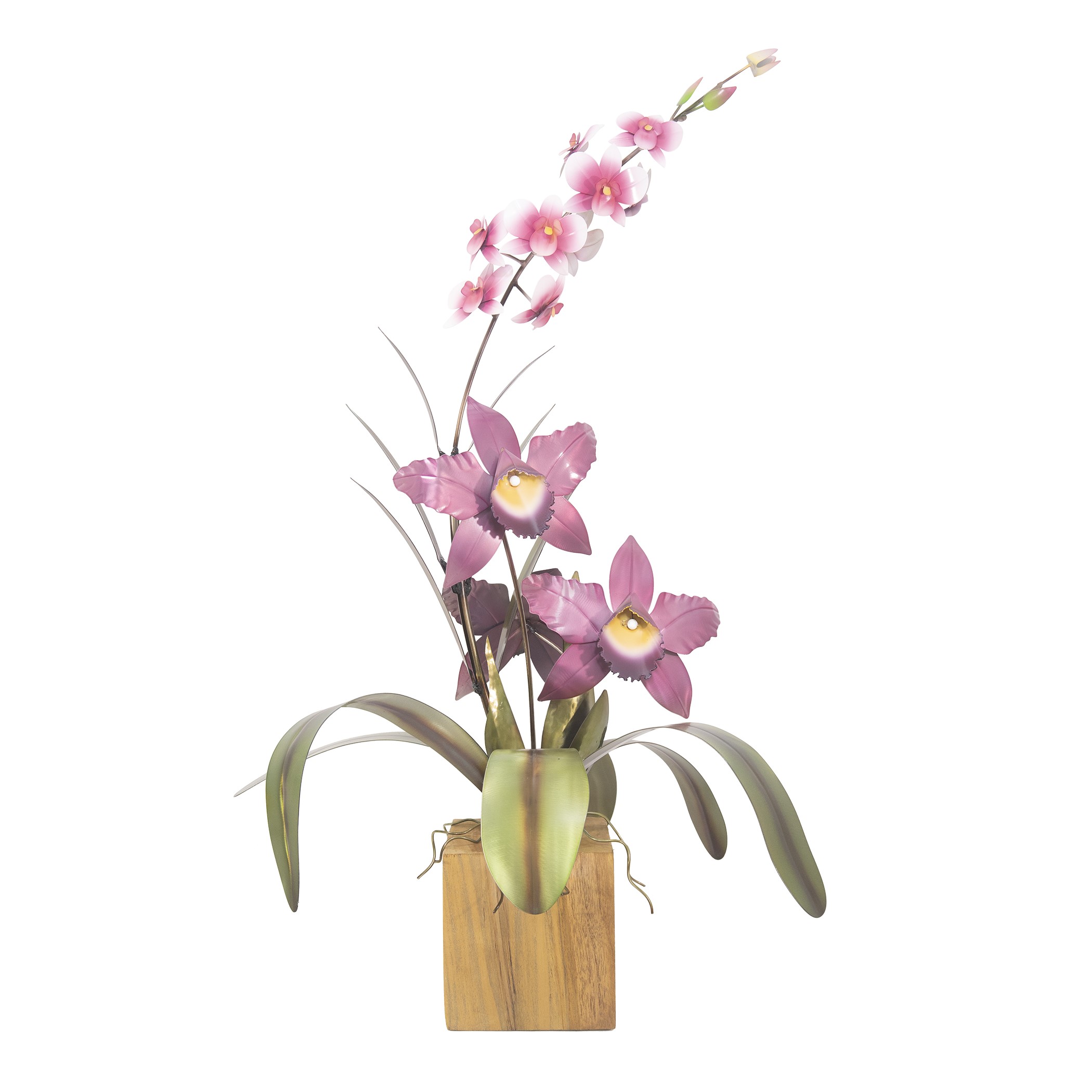 Cattleya/Dendrobium Orchid on Teak Base – The Bronze Lady